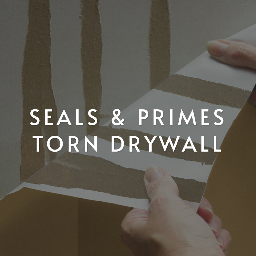 PRO-999 Rx-35® Sealer/Primer for Porous Surfaces - ROMAN Products
